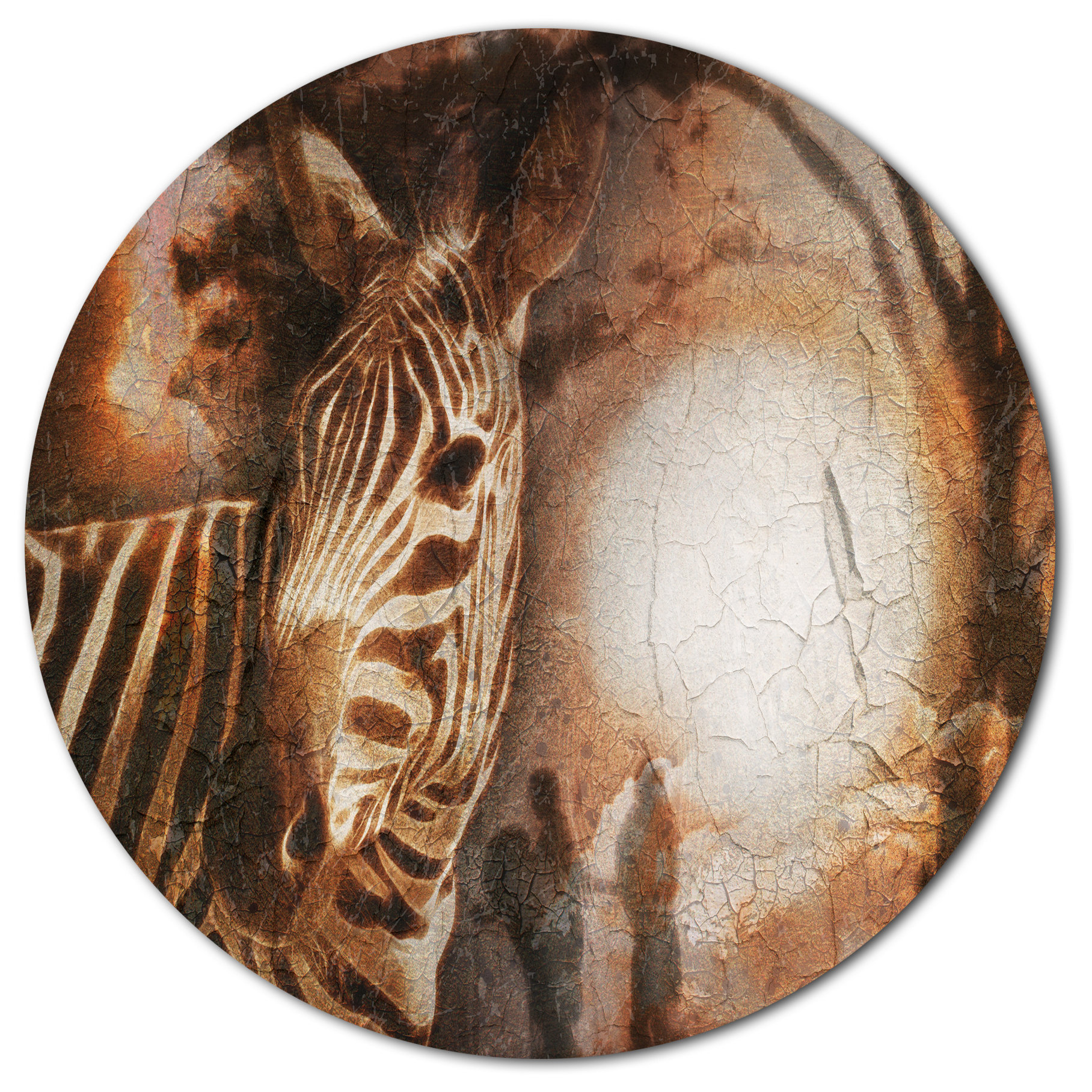 Vintage Style African Zebra, African Round Wall Art Print, Disc of 23 ...