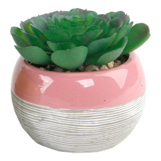 Succulent In Two Tone Lines Pattern Ceramic Pot ,Pink - Contemporary ...