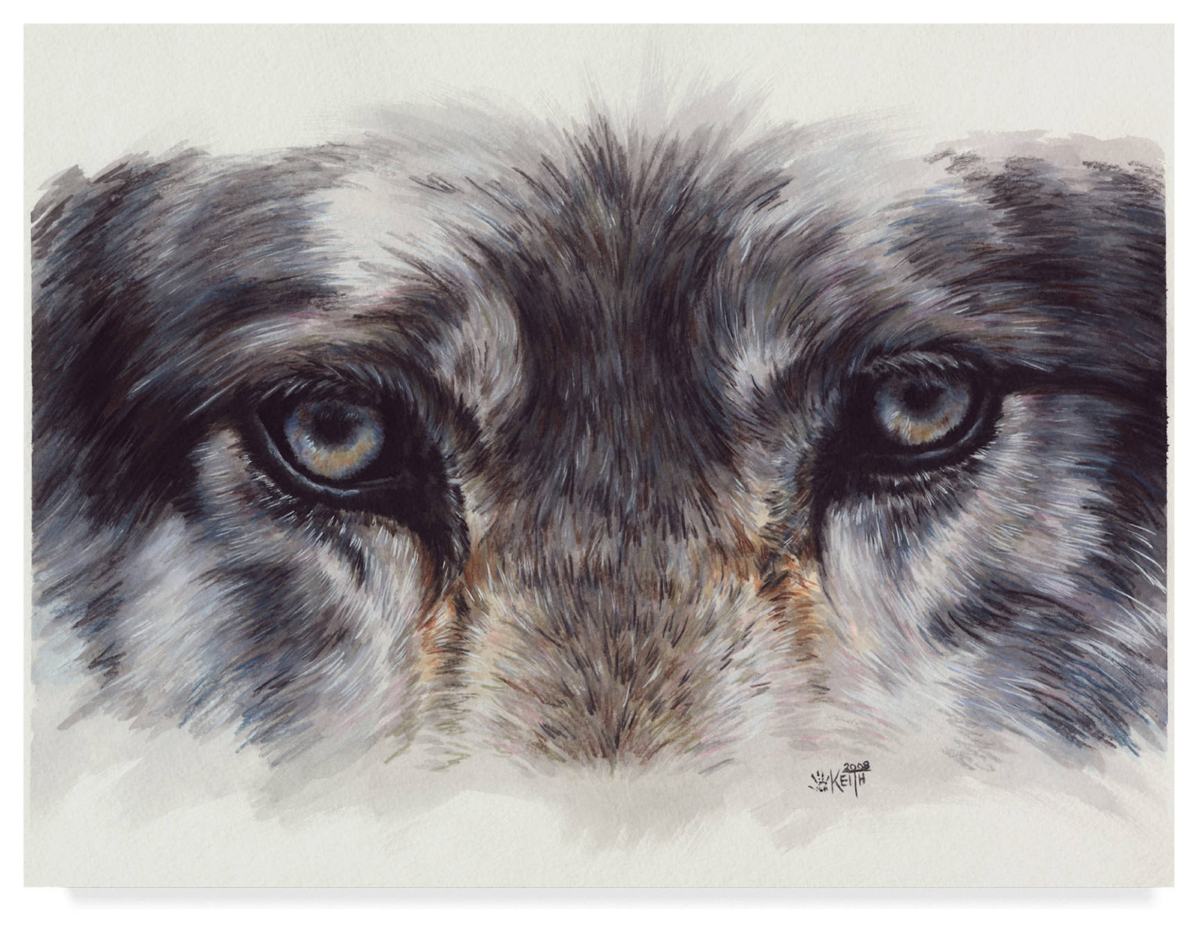 "Eye Catching Wolf" by Barbara Keith, Canvas Art, 47"x35 ...