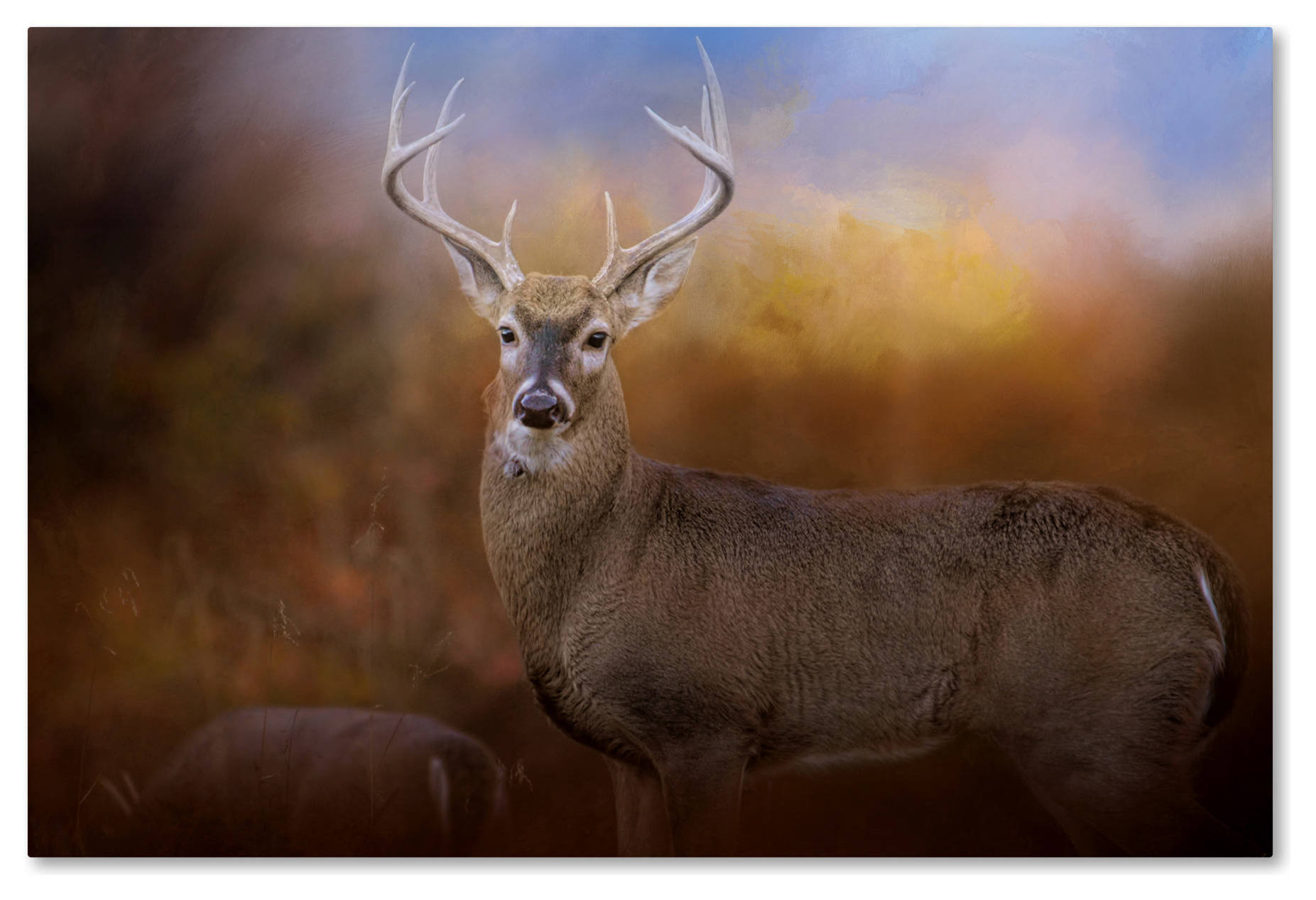 Jai Johnson 'Let The Season Begin' Canvas Art, 19"x 12" - Rustic ...