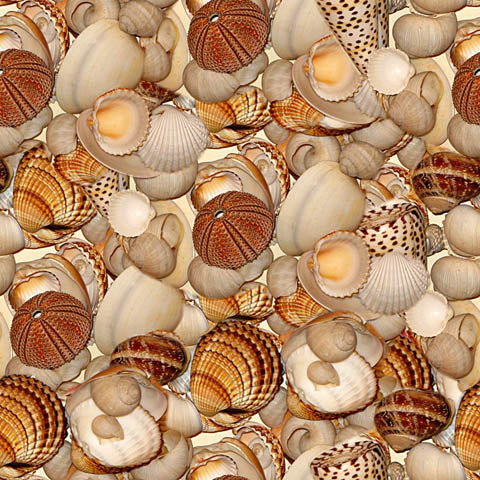 Seashell Medley Shelf Paper Drawer Liner, 36''x12'' roll - Beach Style ...