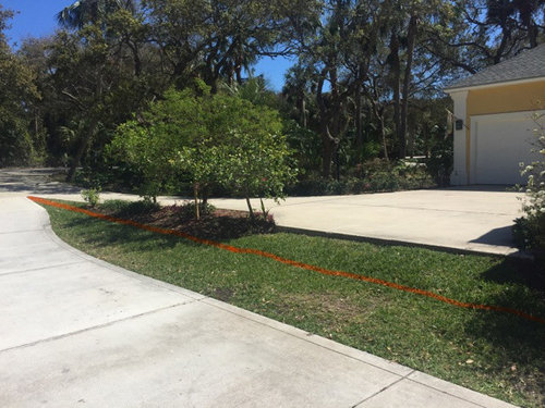 Need privacy between neighbors and driveways ZONE 9a