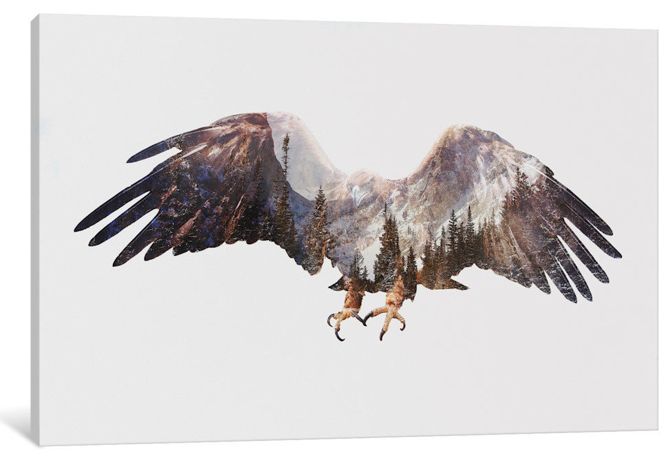 "Arctic Eagle" by Andreas Lie, 12x8x0.75", 18x12x1.5" - Rustic - Prints ...