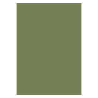 Sap Green - Traditional - Paint - by The Paint Store @ Ronald Shaffer ...