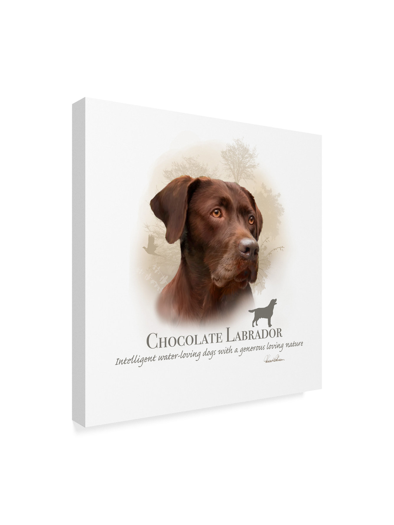 "Chocolate Labrador" by Howard Robinson, Canvas Art, 24"x24 ...
