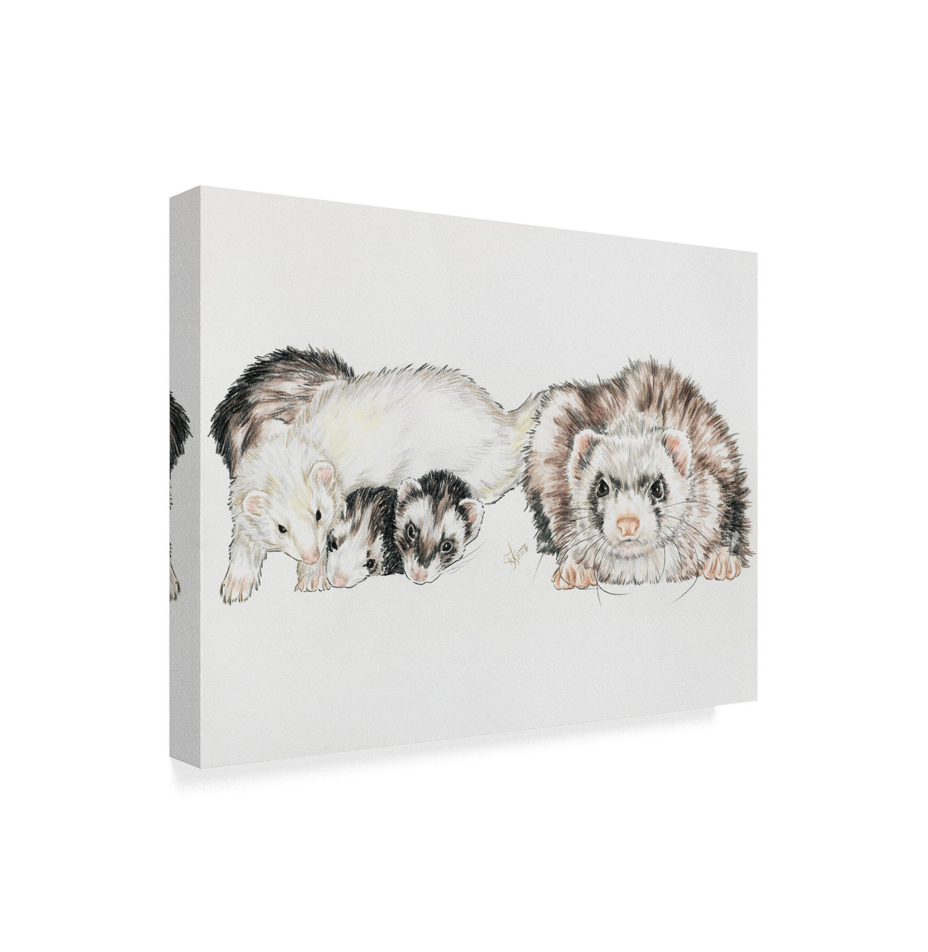 "Family Of Ferrets" by Barbara Keith, Canvas Art, 47"x35 ...