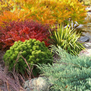 75 Most Popular Traditional Milwaukee Landscaping Design Ideas for 2019 ...