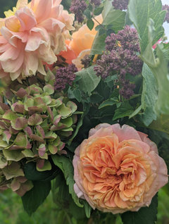 Your favorite Copper Colored Roses for Cutting