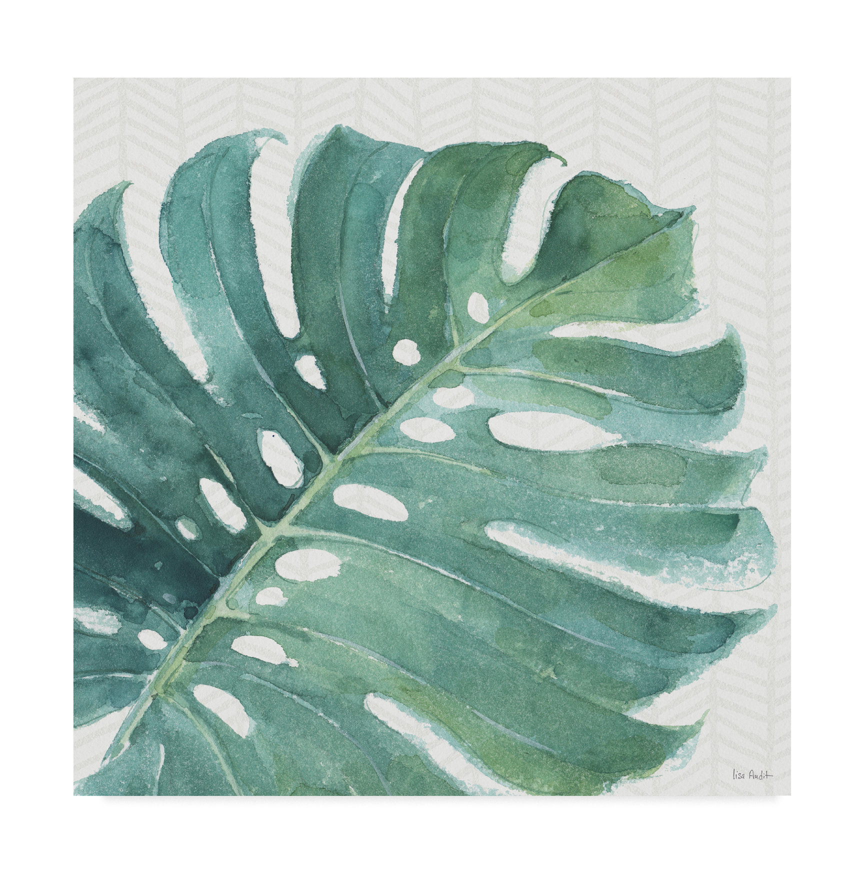 Lisa Audit 'Mixed Greens Lxxiii' Canvas Art, 14"x14" - Tropical ...