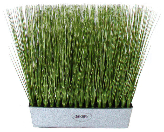 21" Spotted Wheat Grass in Rectangular Window Box - Farmhouse ...