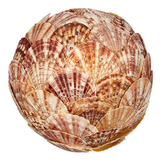 Natural Scallop Shell Orb, 6" - Beach Style - Decorative Objects And ...