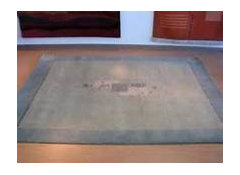 Need area rug to work with toile pattern