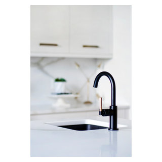 Black and White Beauty - Transitional - Nashville - by Victoria ...