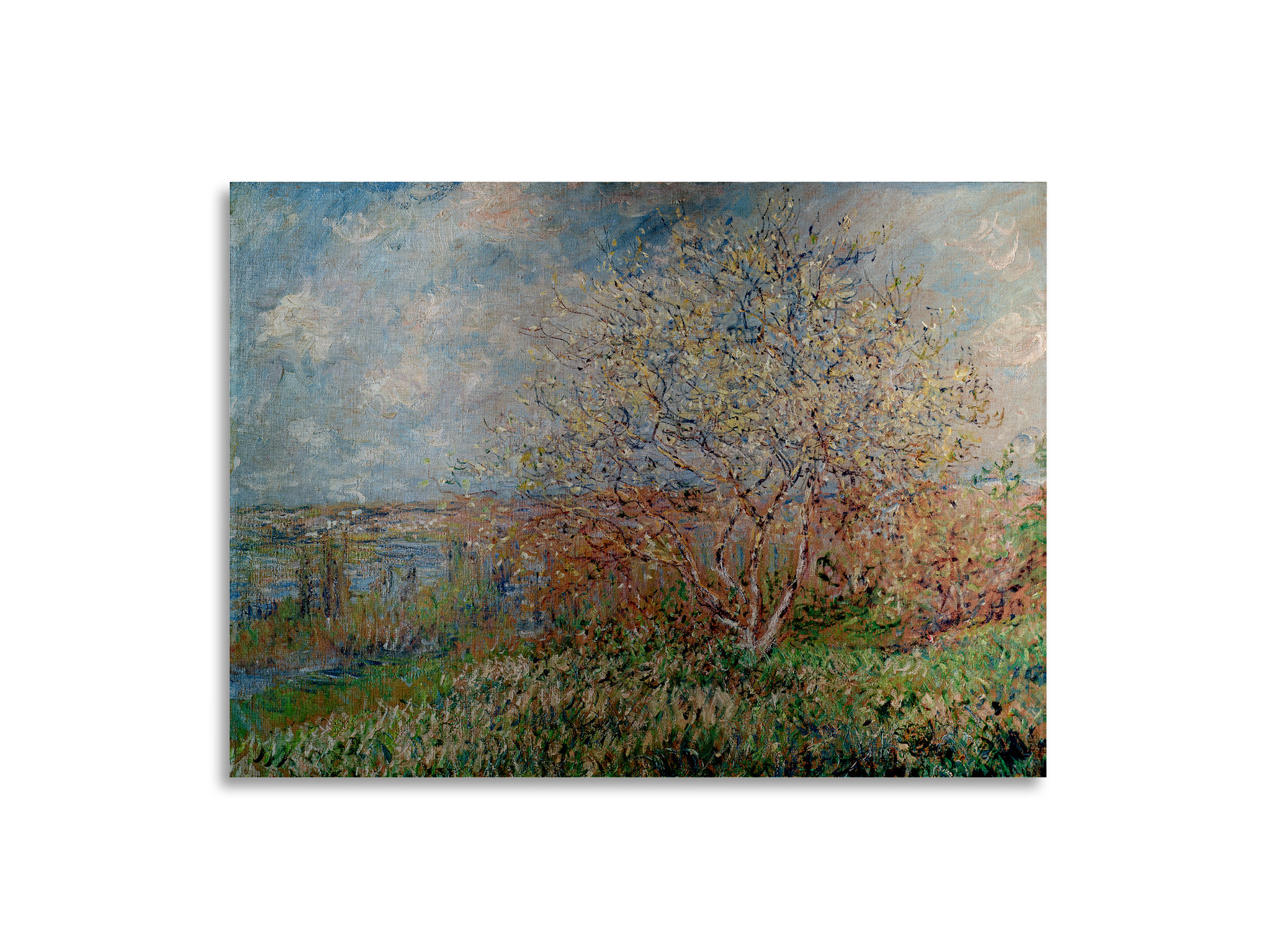 Claude Monet 'Spring 1880' Floating Brushed Aluminum Art, 22x16, 22 x ...