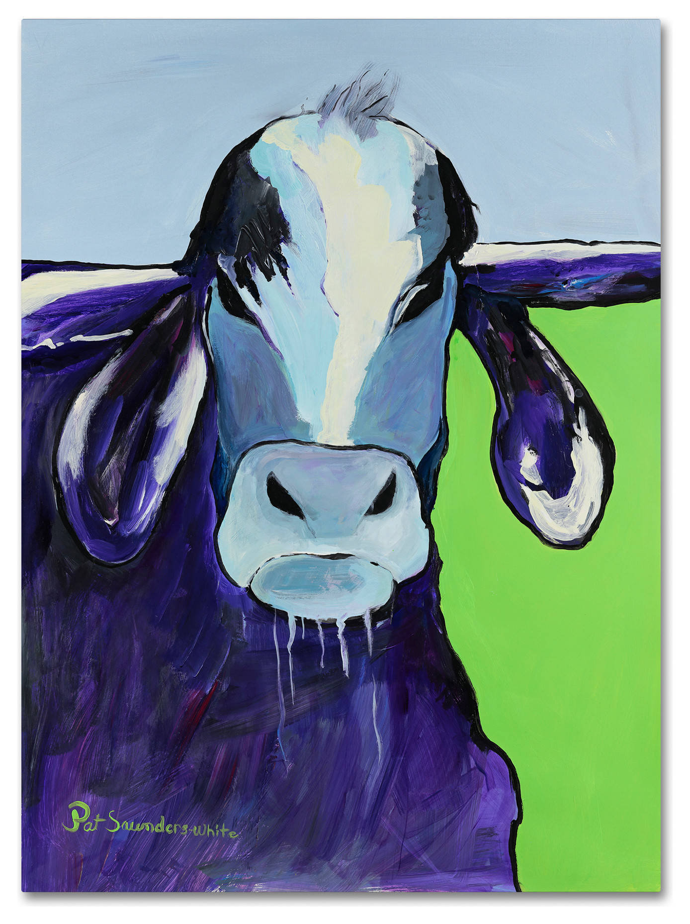 Pat Saunders-White 'Bull Drool' Canvas Art, 14"x19" - Contemporary ...
