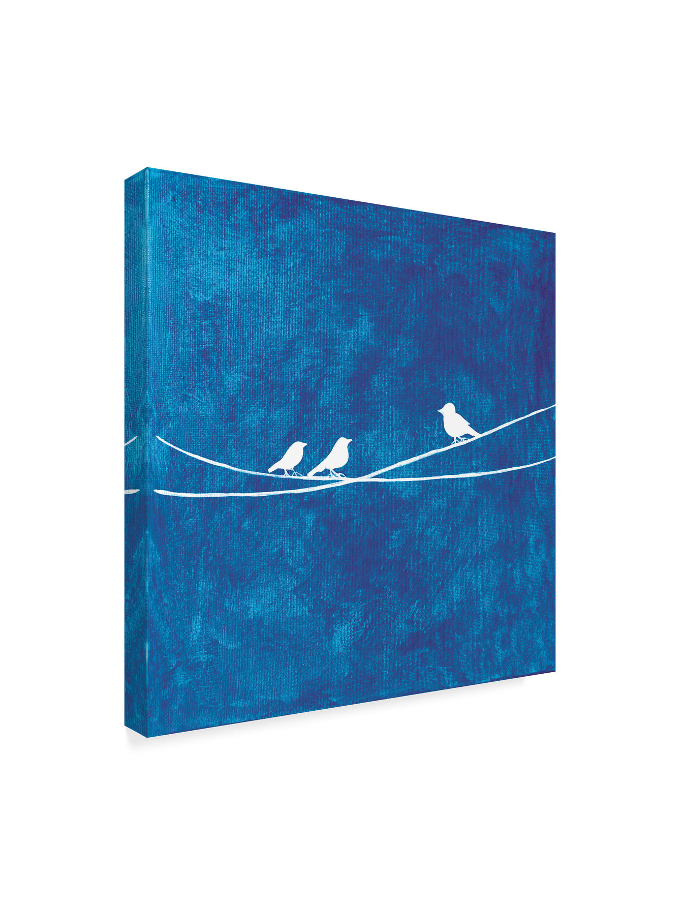 Nicole Dietz 'Spreading Wings Lesson' Canvas Art, 14"x14 ...