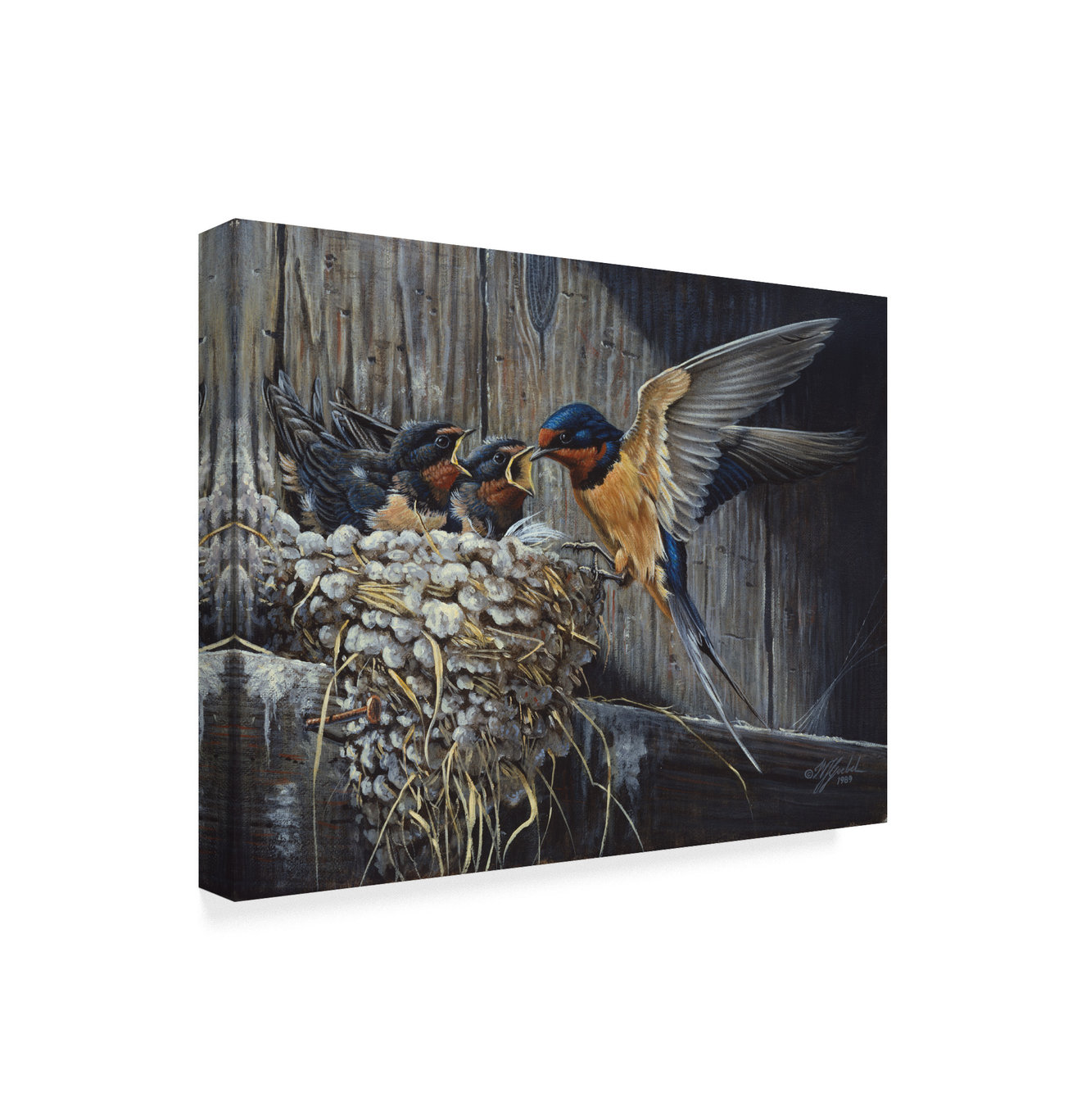 Wilhelm Goebel 'Country Barn Swallows' Canvas Art, 47"x35 ...
