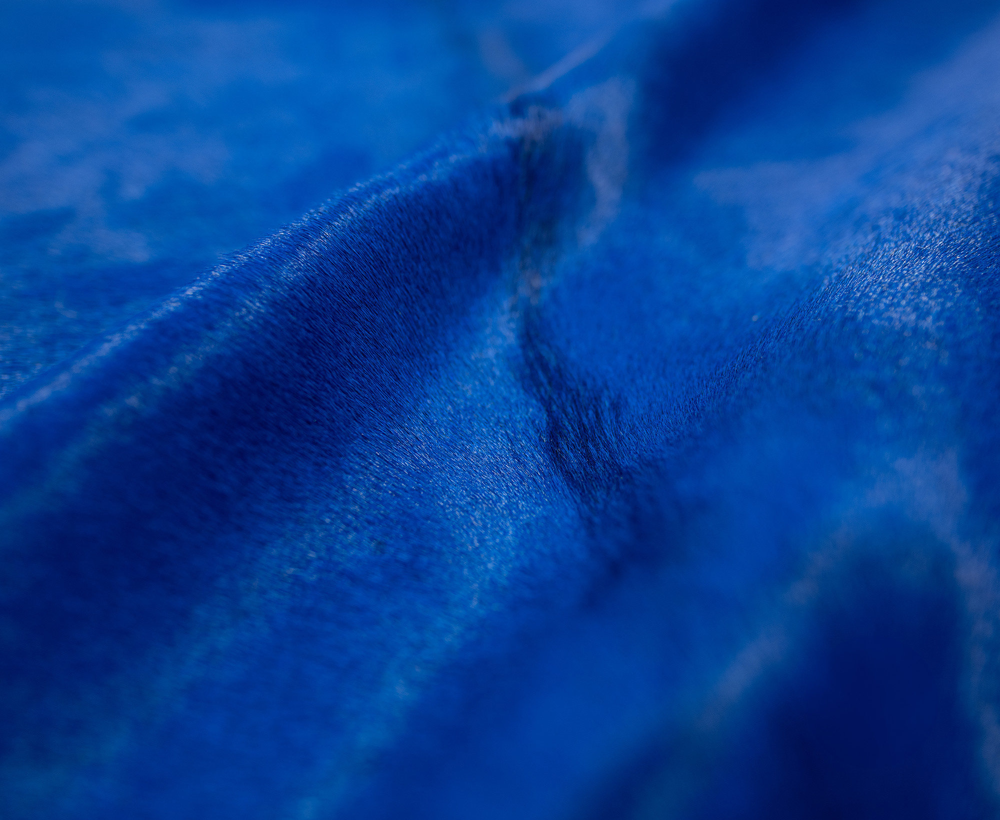 Brazilian Cowhide Rug, Dyed Navy Blue - Contemporary - Novelty Rugs ...