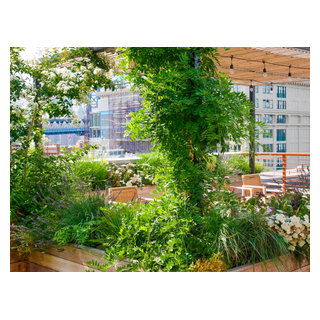 Dumbo View - Modern - Deck - New York - by Outside Space NYC Landscape ...