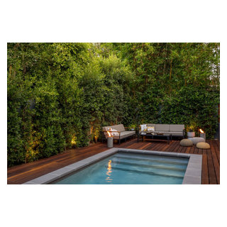 La Jolla Project - Scandinavian - Pool - Los Angeles - by Pomer ...