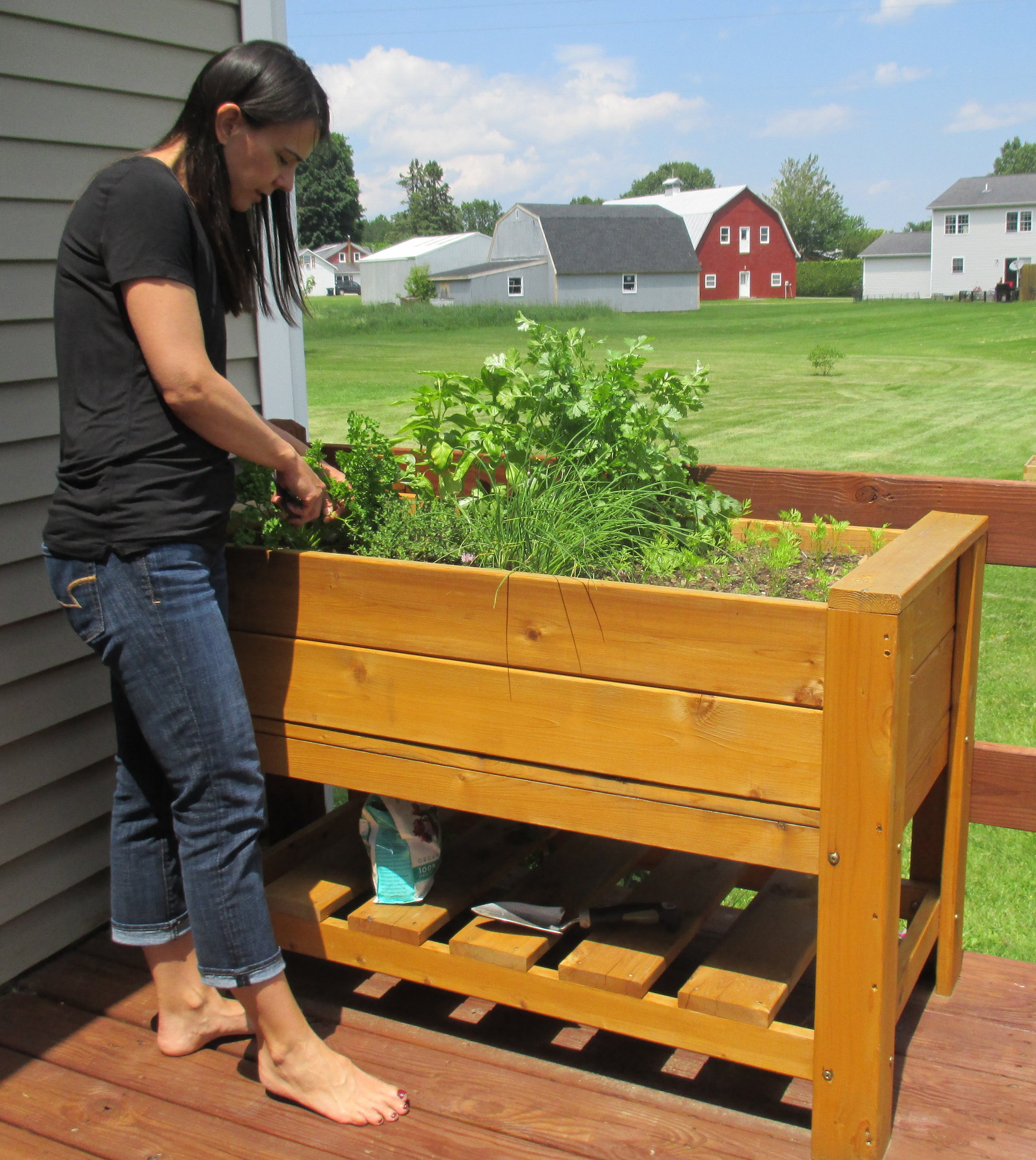Elevated Planter Box with Shelf - Transitional - Outdoor Pots And ...