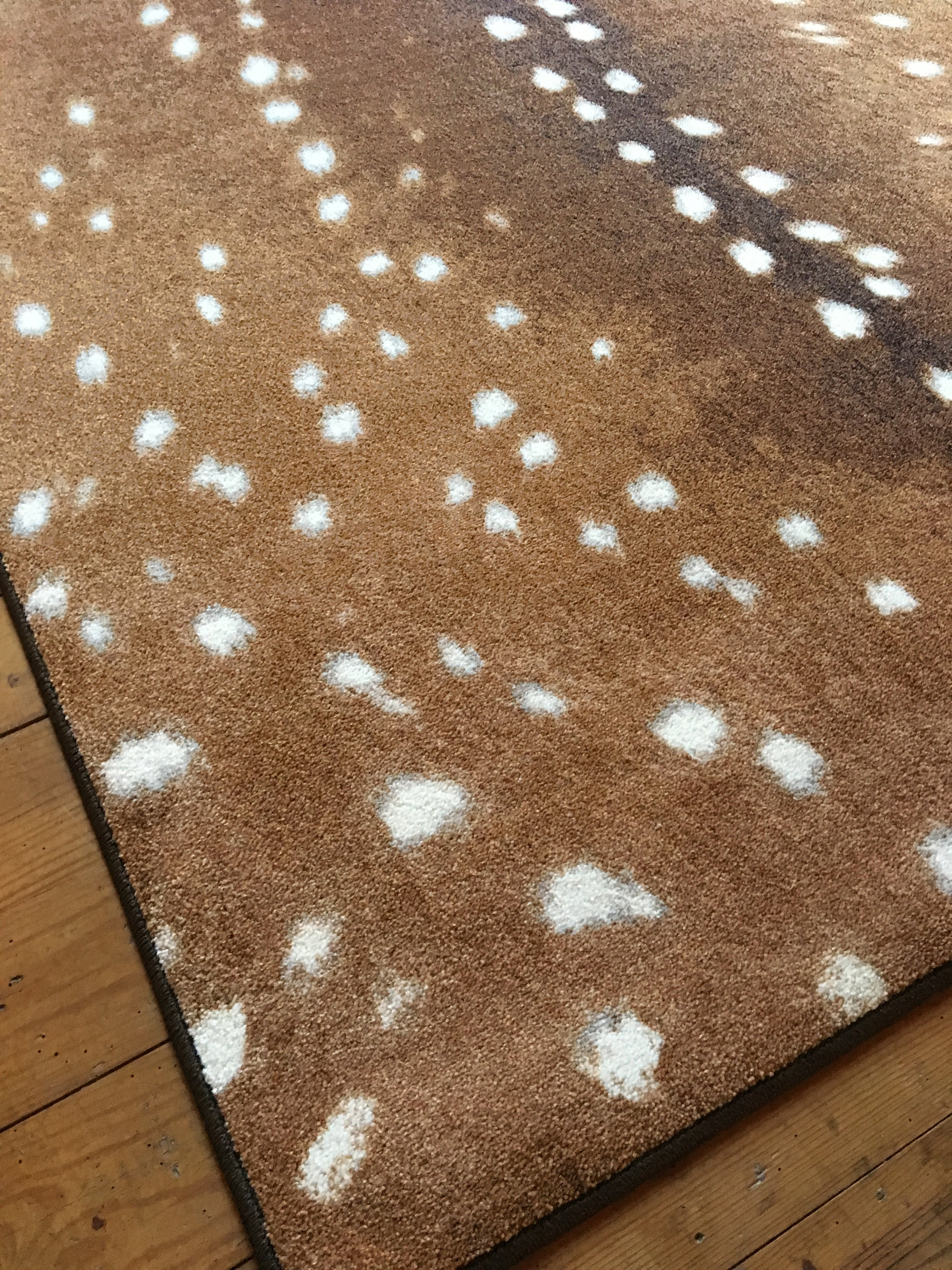 Spotted Hide OKA Sienna Area Rug, 5'4"x7'8" - Contemporary - Area Rugs ...