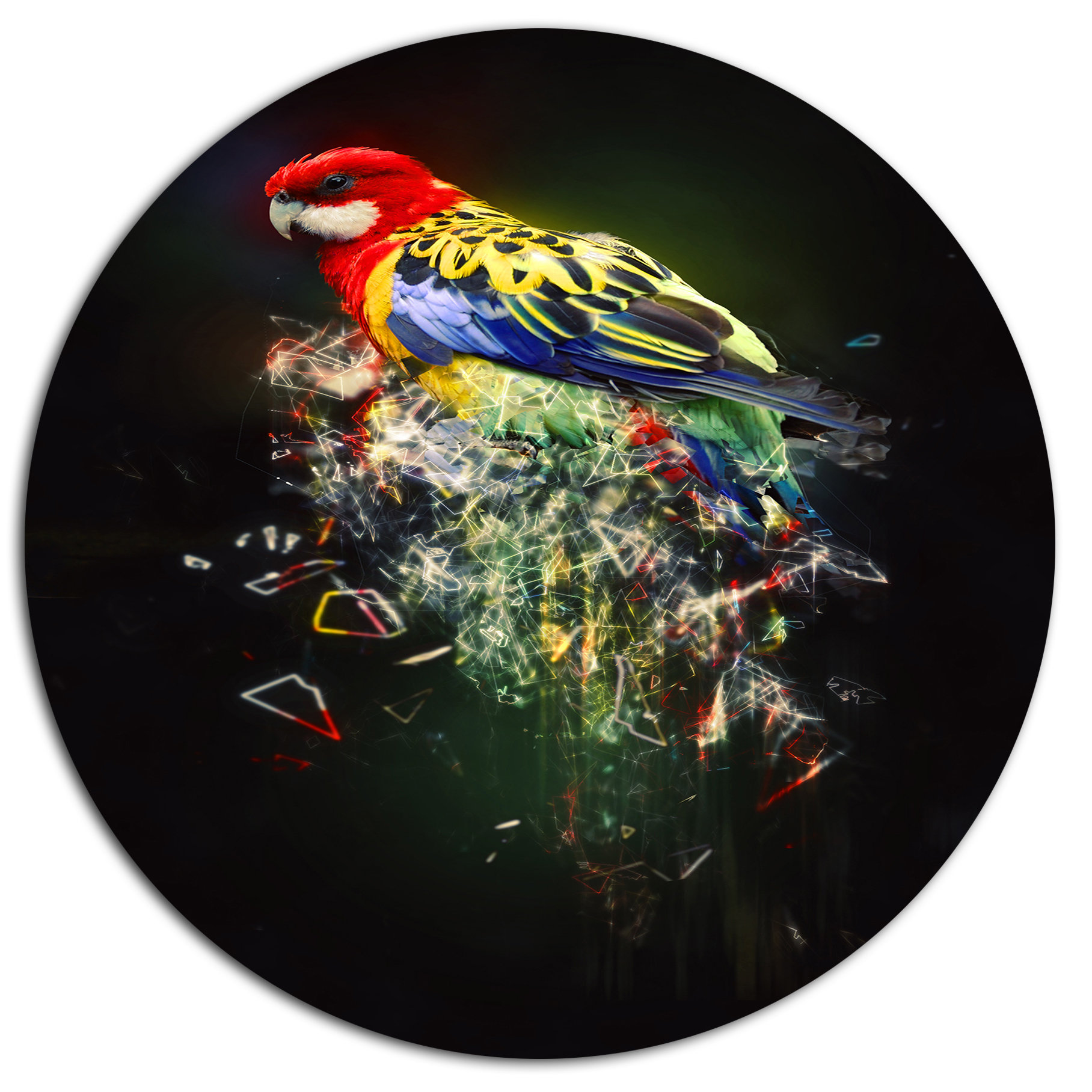 Fantasy Parrot On Branch, Animal Disc Metal Wall Art, Disc of 11 inch ...