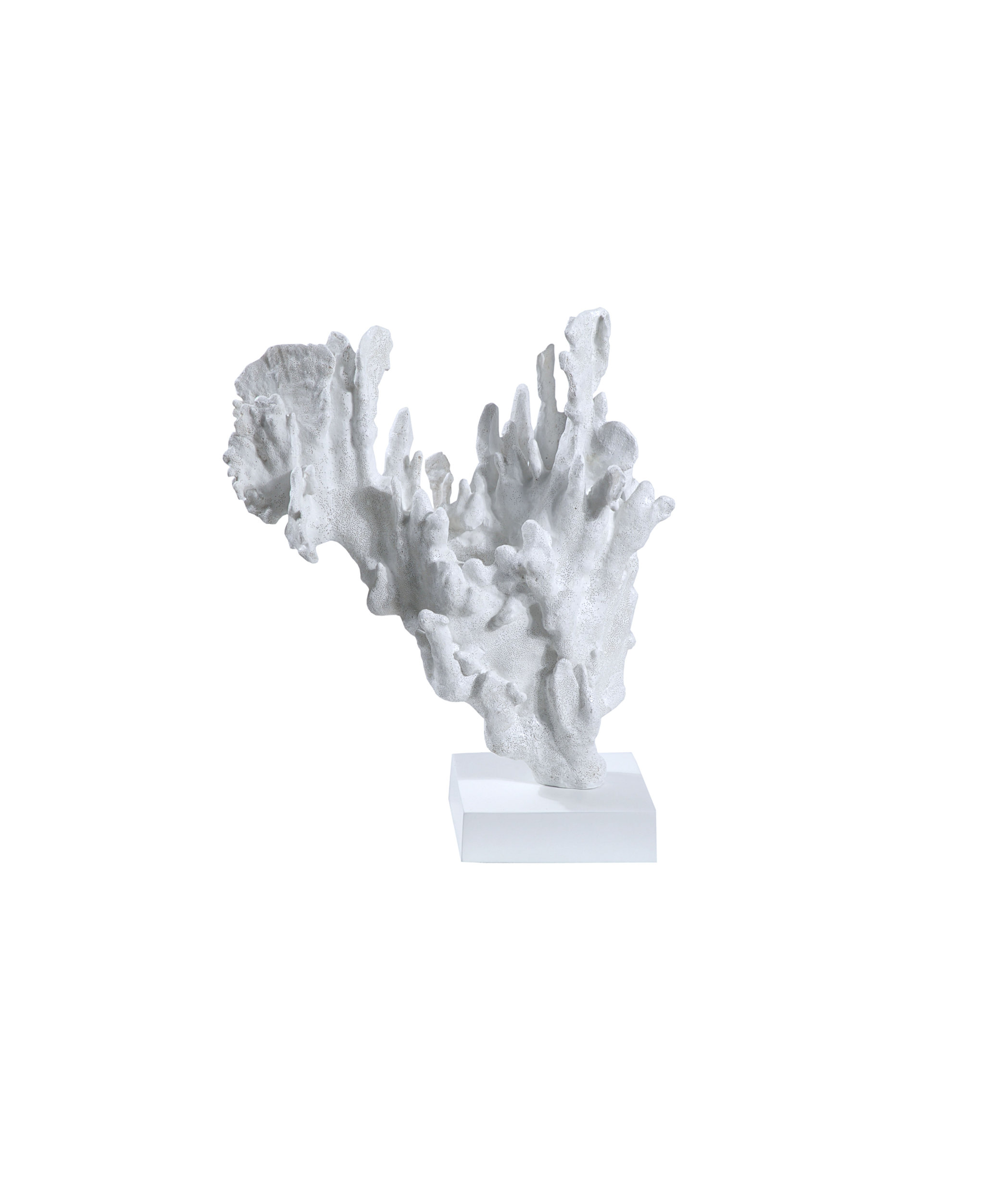 Coral Decor - Beach Style - Decorative Objects And Figurines - by Gold ...