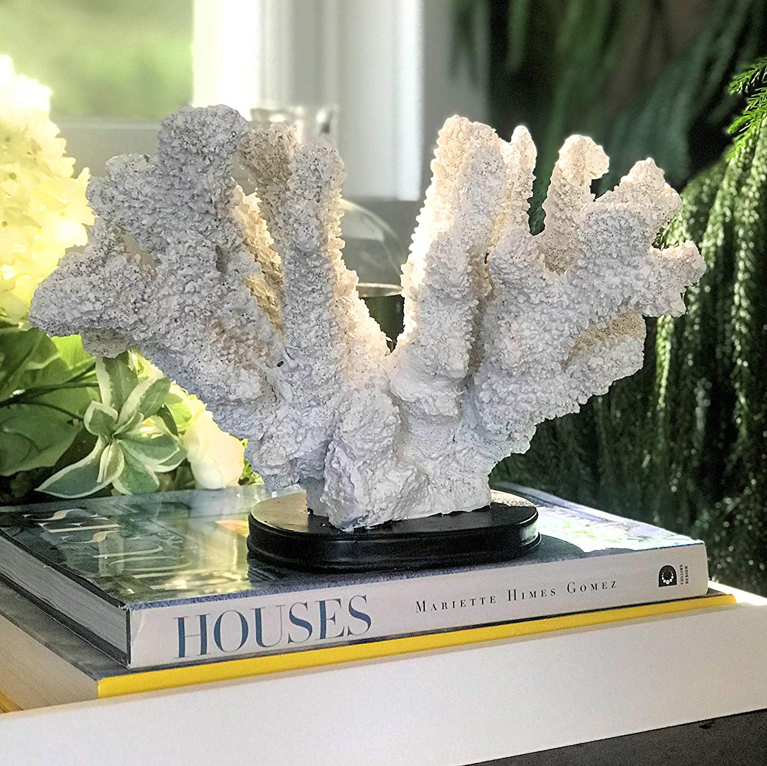 Bleached Coral Table Decor - Beach Style - Decorative Objects And ...