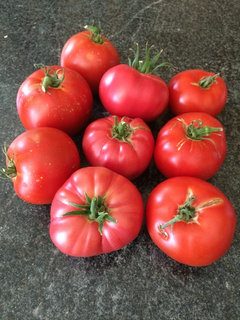 Better Boy Tomatoes | Houzz Forum