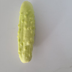 Pale green cucumbers