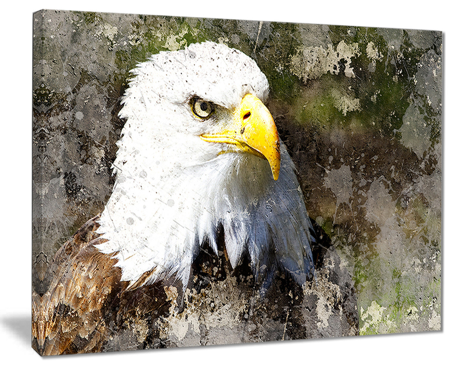 "Eagle Head With Textures" Animal Digital Art Canvas Print, 40"x30 ...