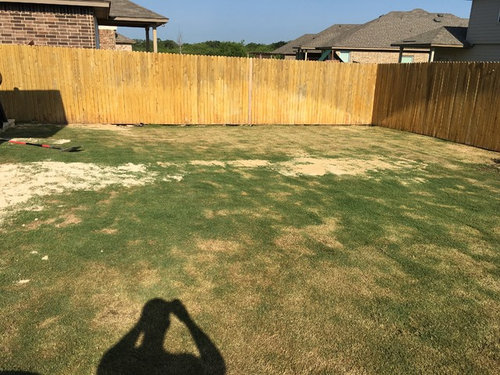 2016 Lawn Leveling with Sand
