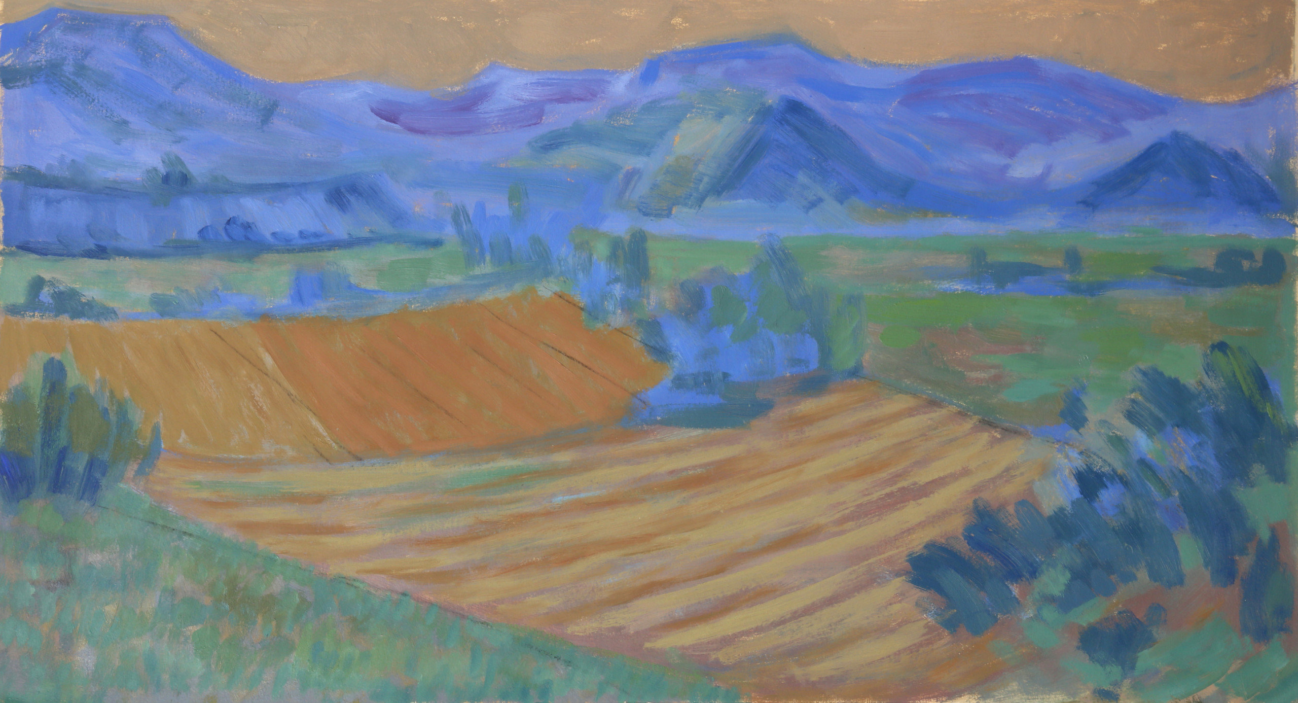 Champs Roulants, Laurent Marcel Salinas, 24x13 - Contemporary ...