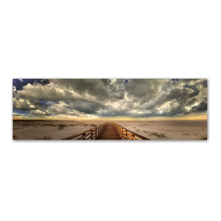 Doug Cavanah 'Prelude' Canvas Art, 10"x32" - Beach Style - Prints And ...