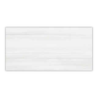 Dolomite White Polished 12x24 Porcelain Tile, 12x24 - Traditional ...