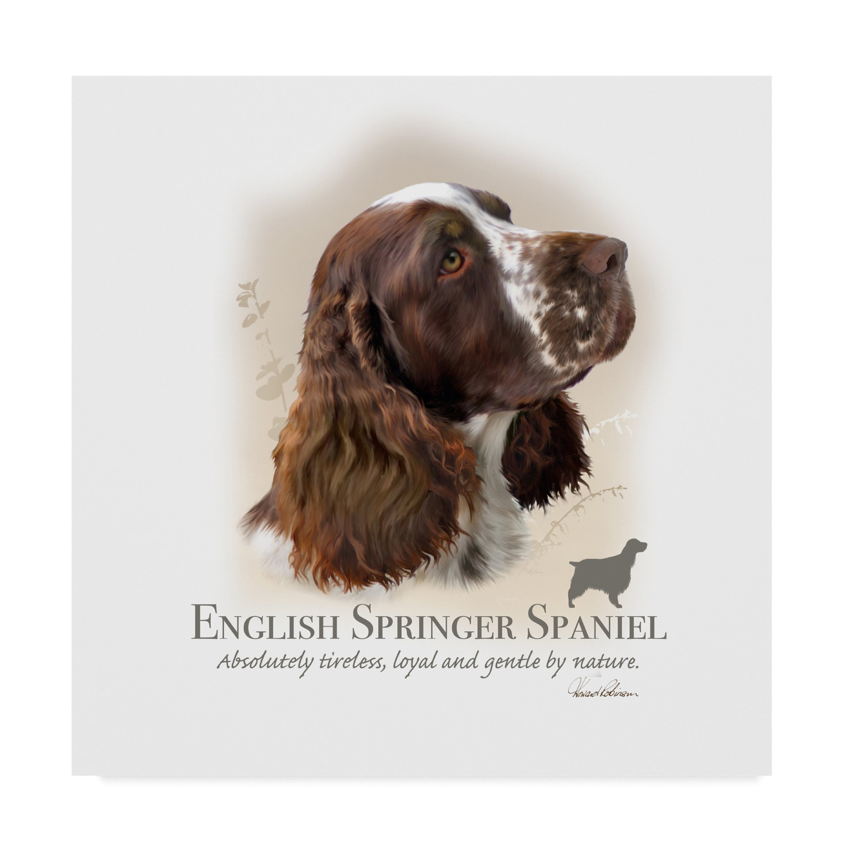 "English Springer Spaniel" by Howard Robinson, Canvas Art, 35"x35 ...