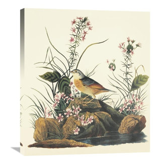 "Yellow-Winged Sparrow" Artwork, 26.4" x 30" - Contemporary - Prints ...