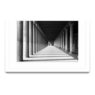 Giant Art 36x24 Agora Matted and Framed in White - Contemporary ...