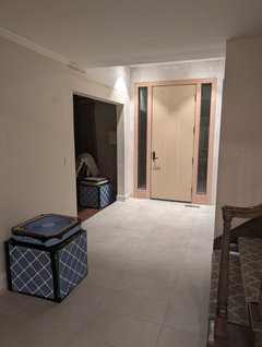 Front Door Color Options