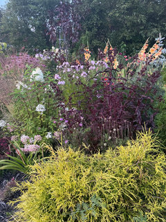 Random Garden Photos
