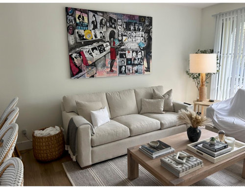 help with living room decor | Houzz Forum