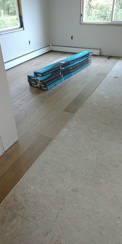 Flooret LVP in Arbor, Brenwick or Kingswood? OR CorTEC Harrison Oak