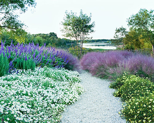 Bamboo Muhly Grass | Houzz