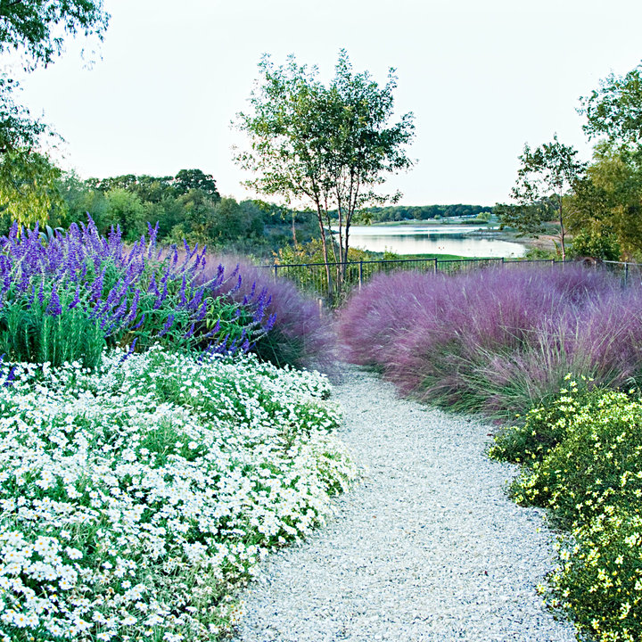 75 Beautiful Australian Native Garden Ideas & Designs - October 2025 ...