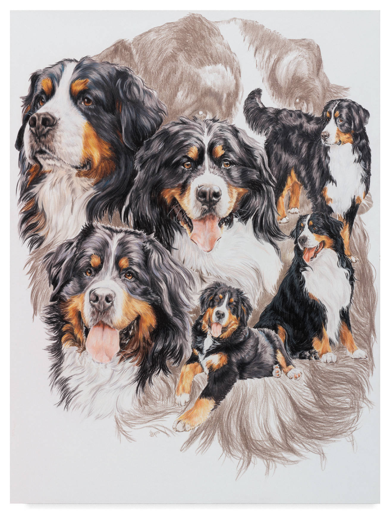 "Burmese With Ghost" by Barbara Keith, Canvas Art, 32"x24 ...