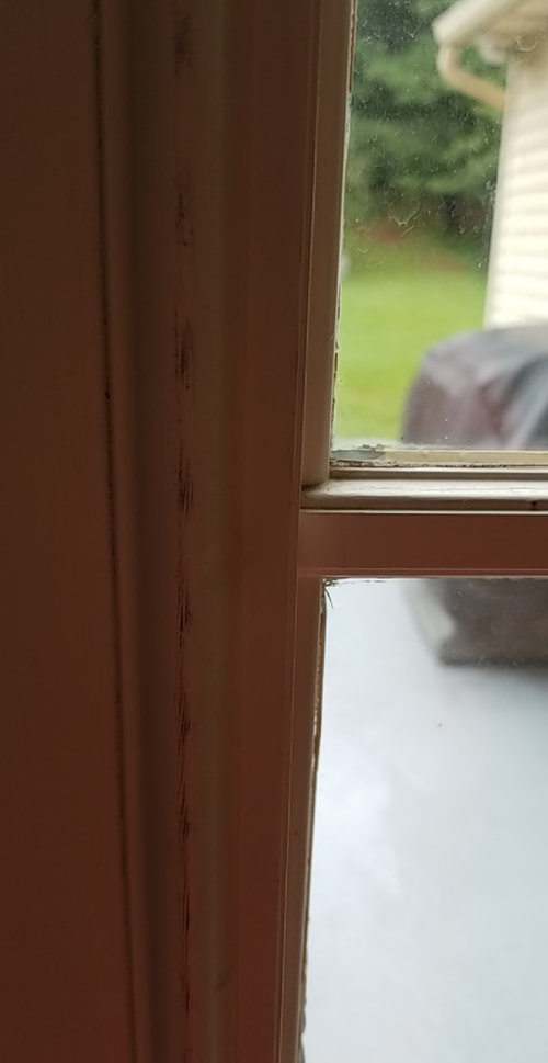 Window panes (pains)