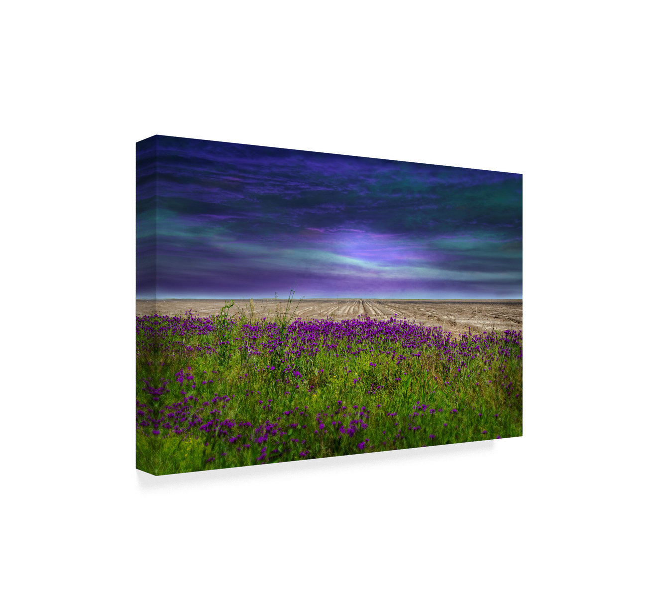 Barbara Simmons 'Beyond The Wildflower' Canvas Art, 32"x22" - Farmhouse ...