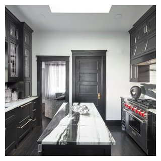 Fantasy Zebra Marble Kitchen Counters - Transitional - Kitchen ...