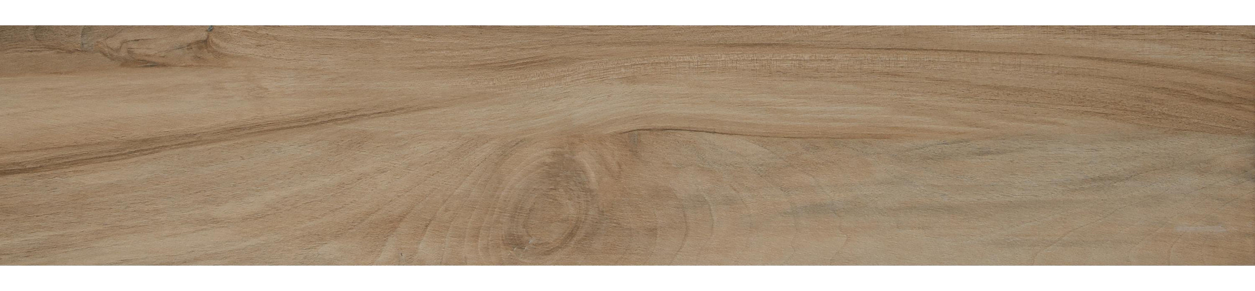 Aspenwood Amber 9x48 Porcelain Tile - Traditional - Wall And Floor Tile ...